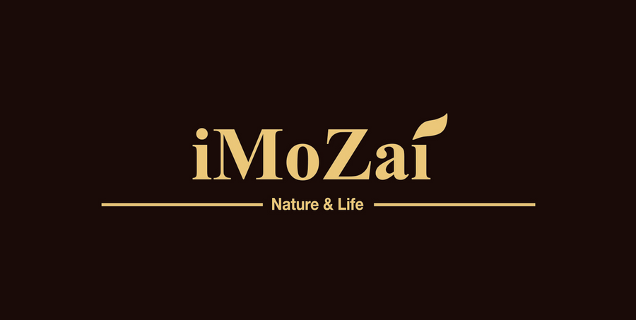 About Us – iMoZai